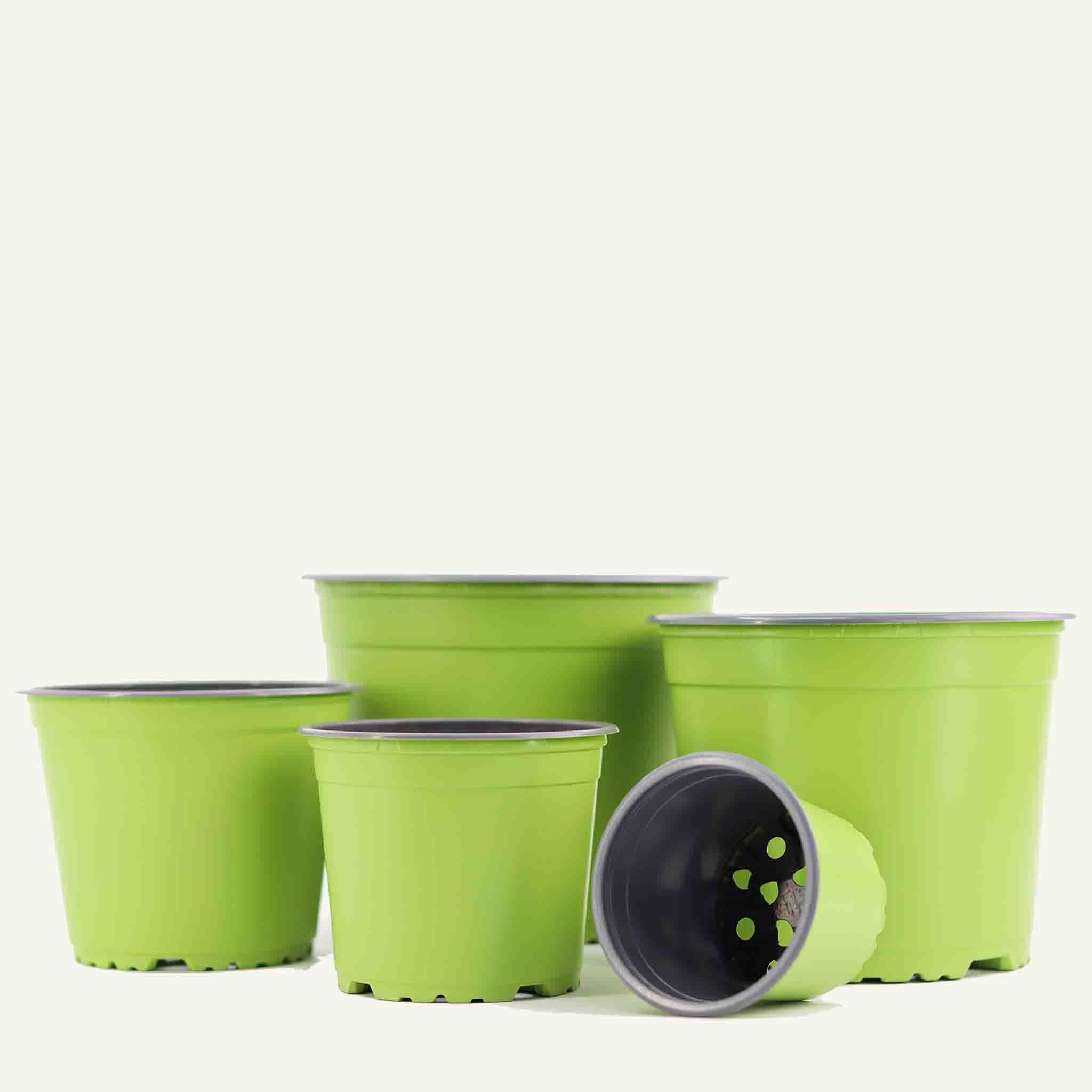 Plant pots – Sybotanica