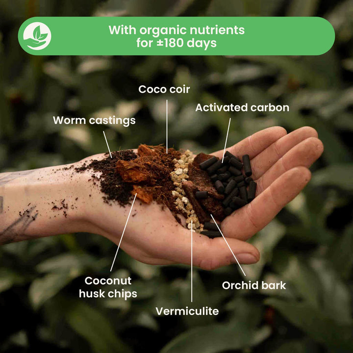 Buy Soil Mixes - Premium SYBASoil 🌱 – Sybotanica