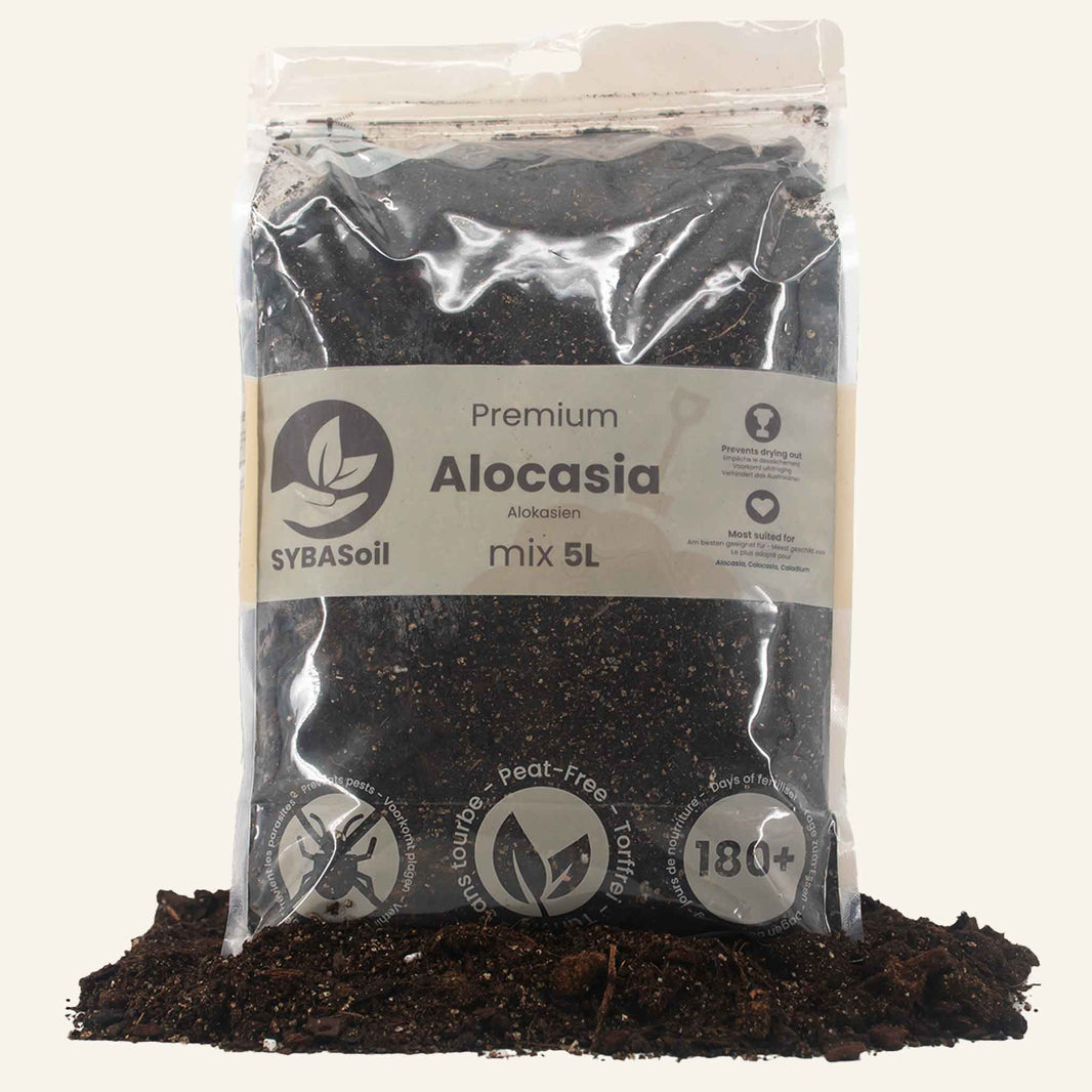 All products – Sybotanica