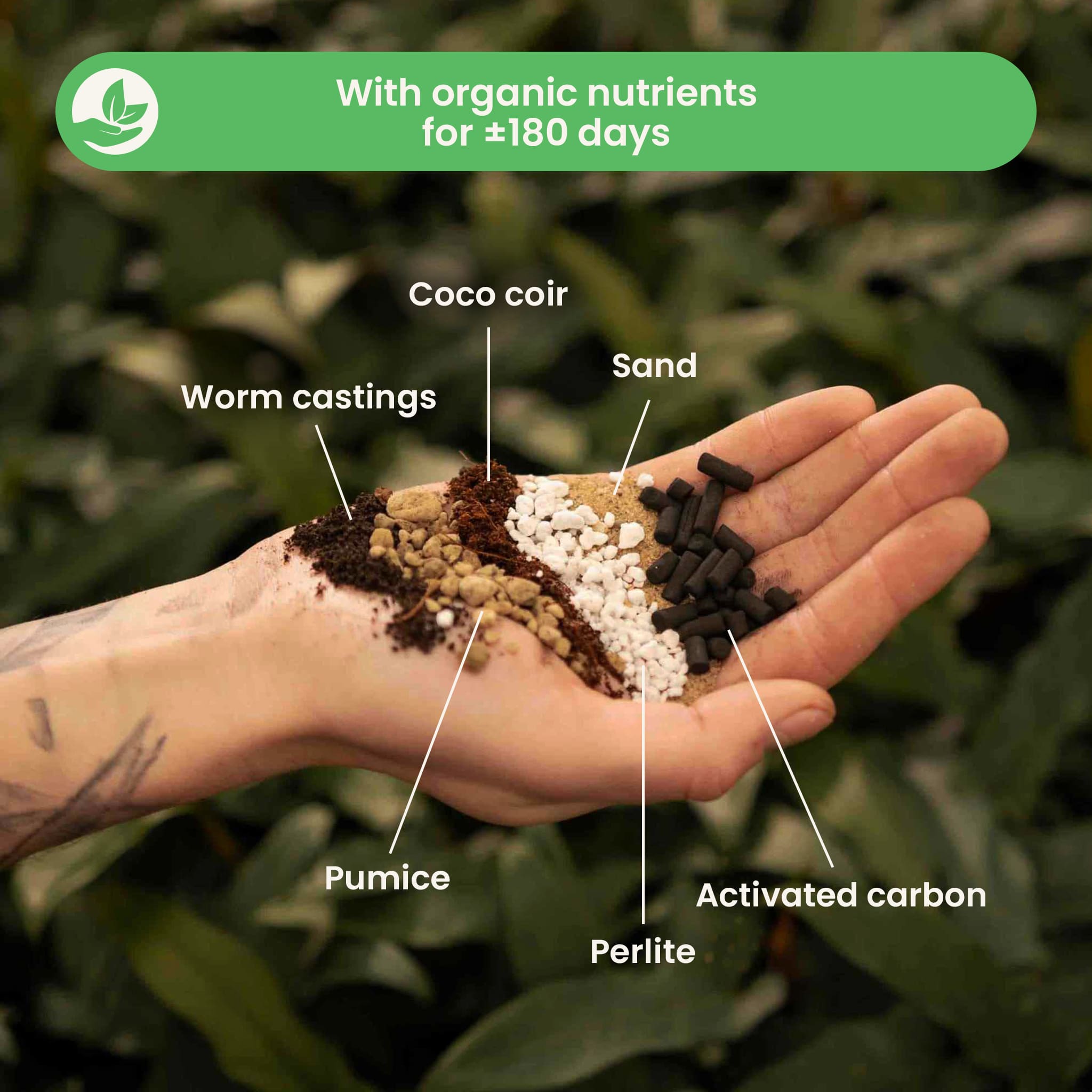 All products – Sybotanica