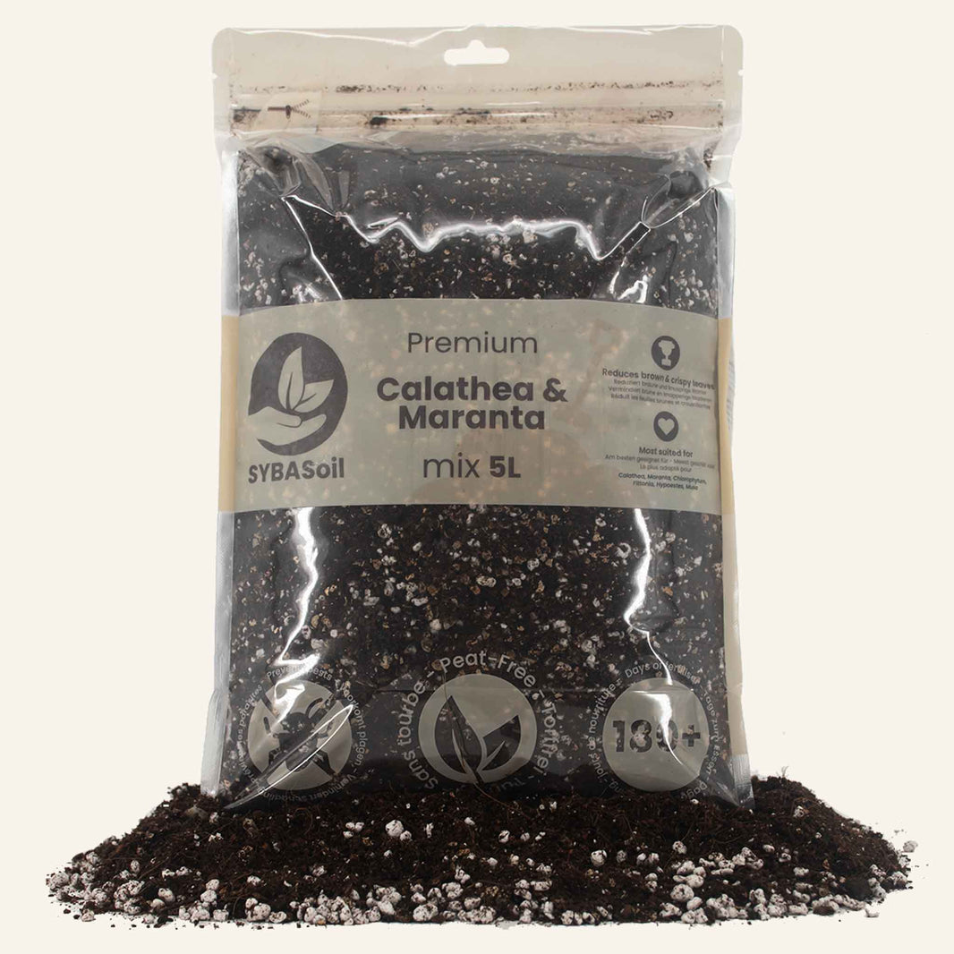 All products – Sybotanica