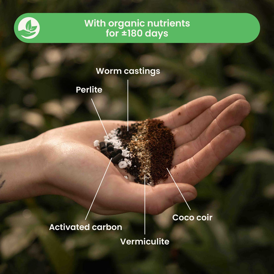 The webshop for Soil, Sphagnum Moss, Plant Pots & more – Sybotanica