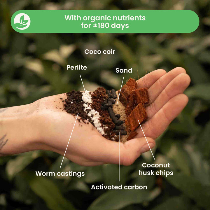 Buy Soil Mixes - Premium SYBASoil 🌱 – Sybotanica