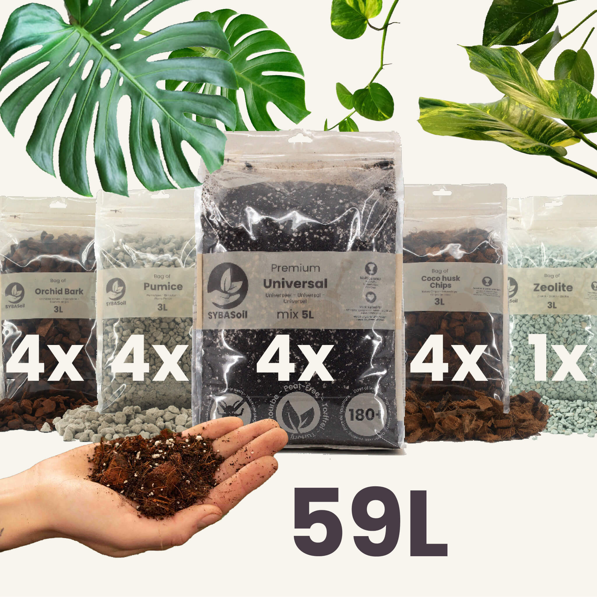 Buy Super DIY Aroid Mix Bundle Fast shipping – Sybotanica