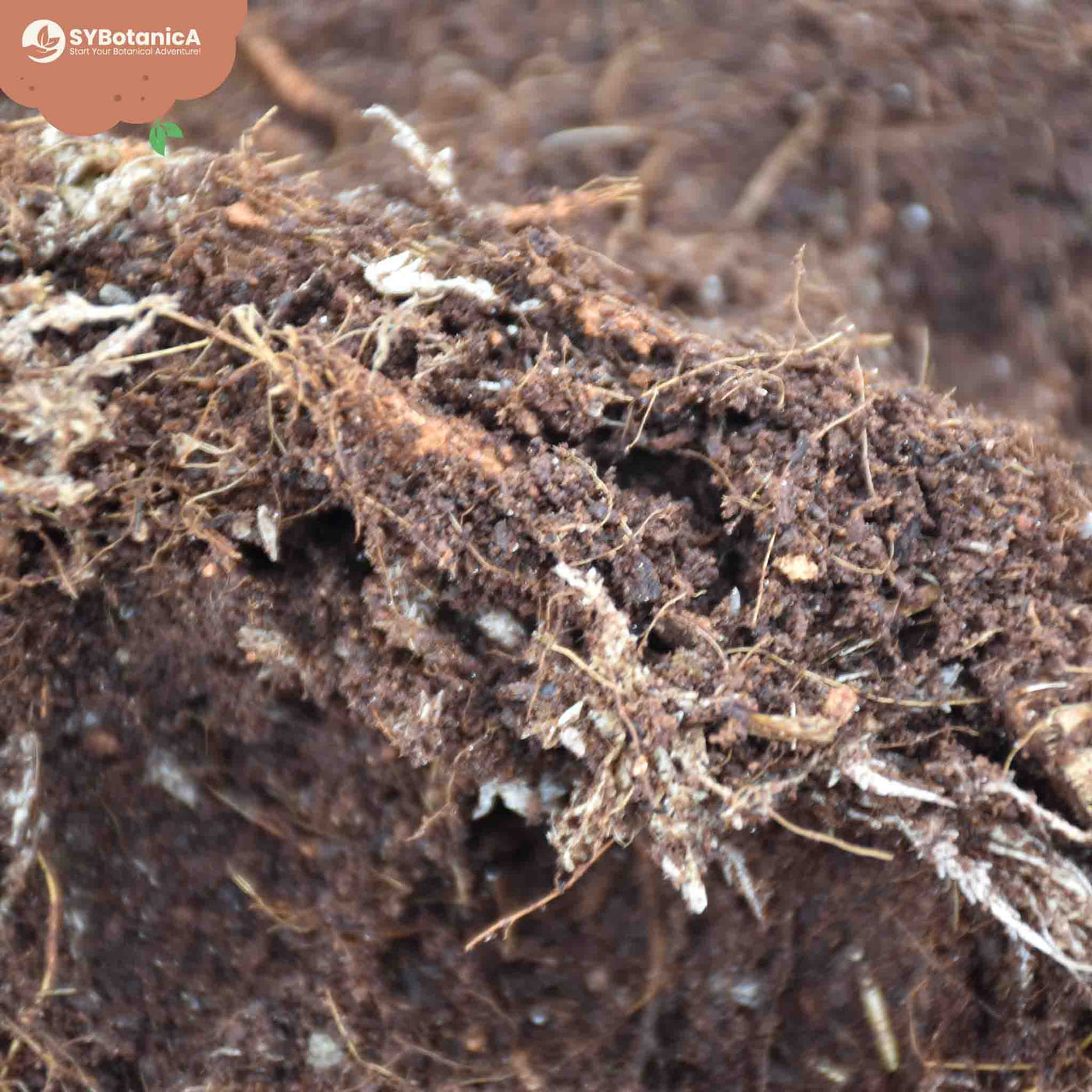 Terrarium Substrate Mix | 5-15L | SYBASoil | ABG Mix | Soil Mix | |Anti ...