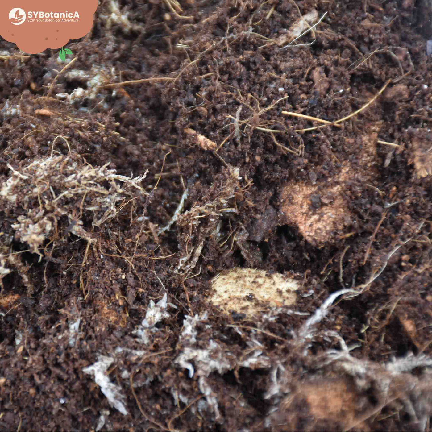 Terrarium Substrate Mix | 5-15L | SYBASoil | ABG Mix | Soil Mix | |Anti ...