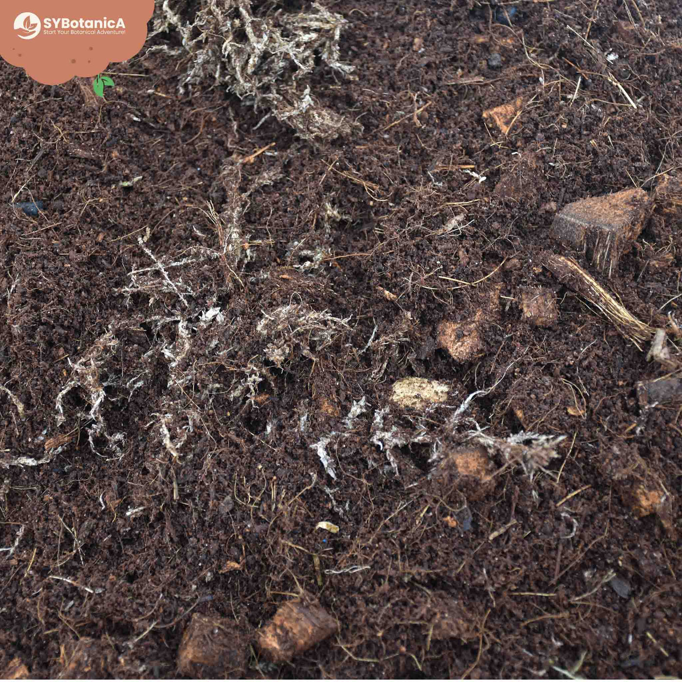 Terrarium Substrate Mix | 5-15L | SYBASoil | ABG Mix | Soil Mix | |Anti ...